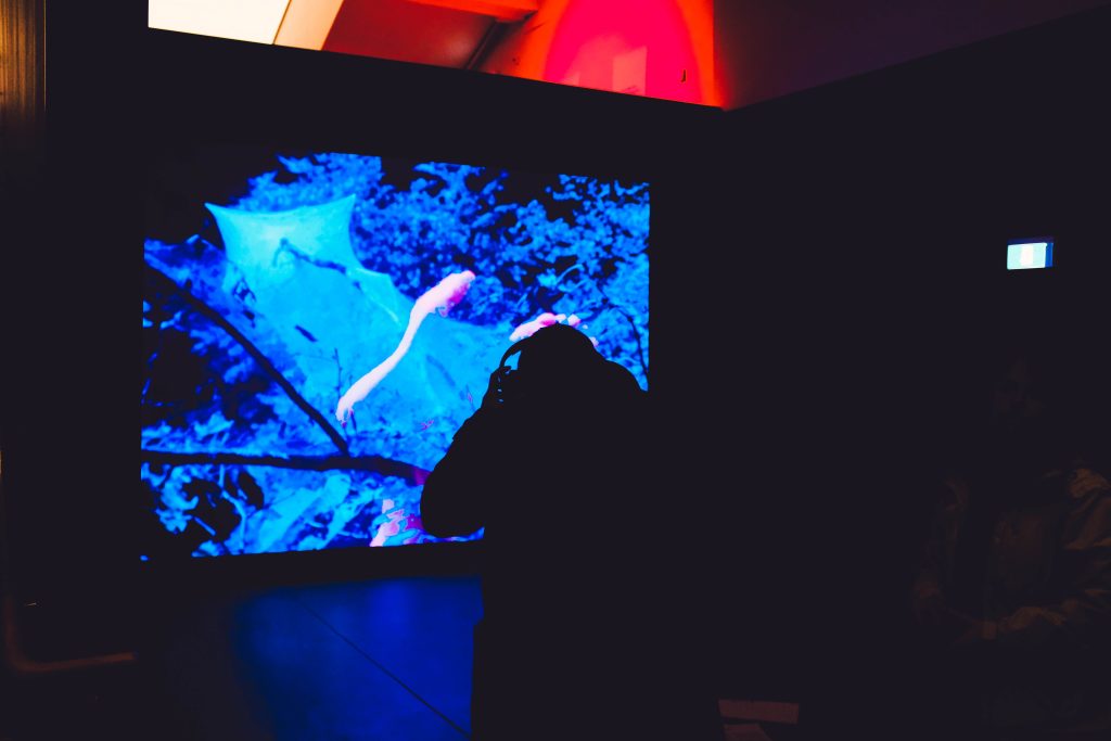 Sala inmersiva: Innovación y tecnología en experiencias de usuario ...